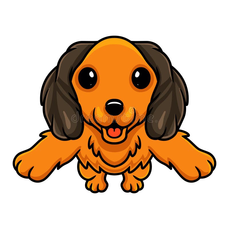 Cute Dachund Dog Cartoon Jumping Stock Vector - Illustration of leaping ...