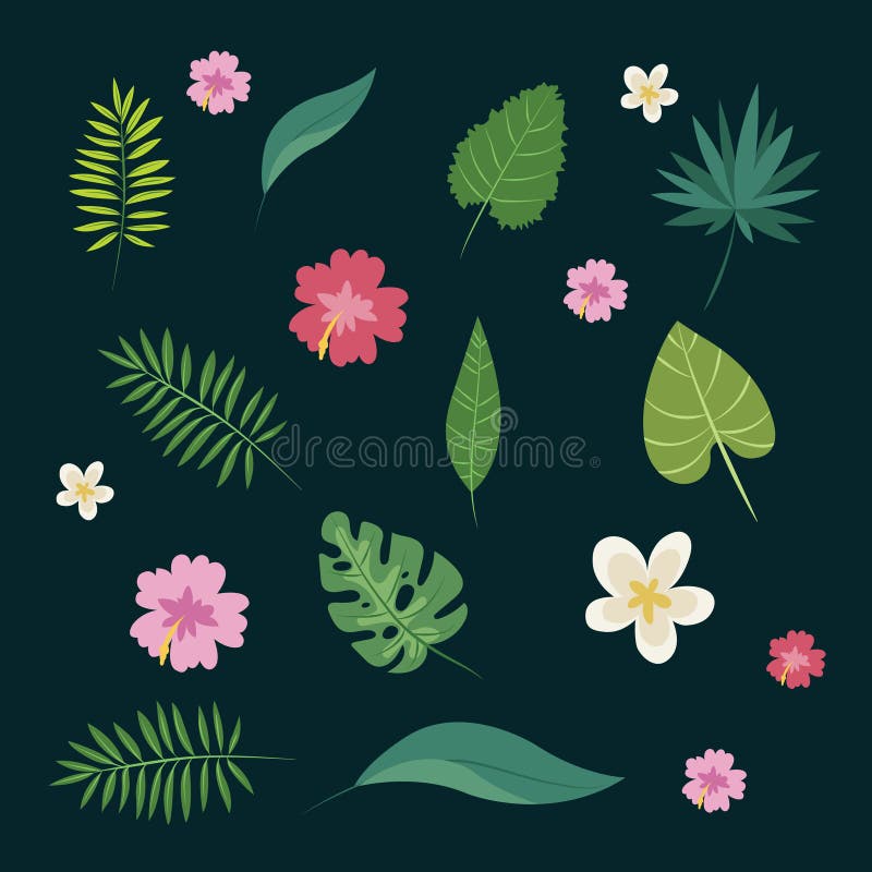 Flowers and Leaves Vector Art Set Stock Illustration - Illustration of ...