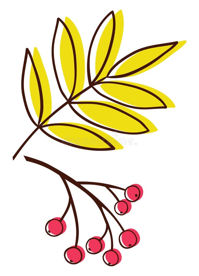 Hand Drawing Cartoon Autumn Rowan Leaves. Stock Vector - Illustration ...