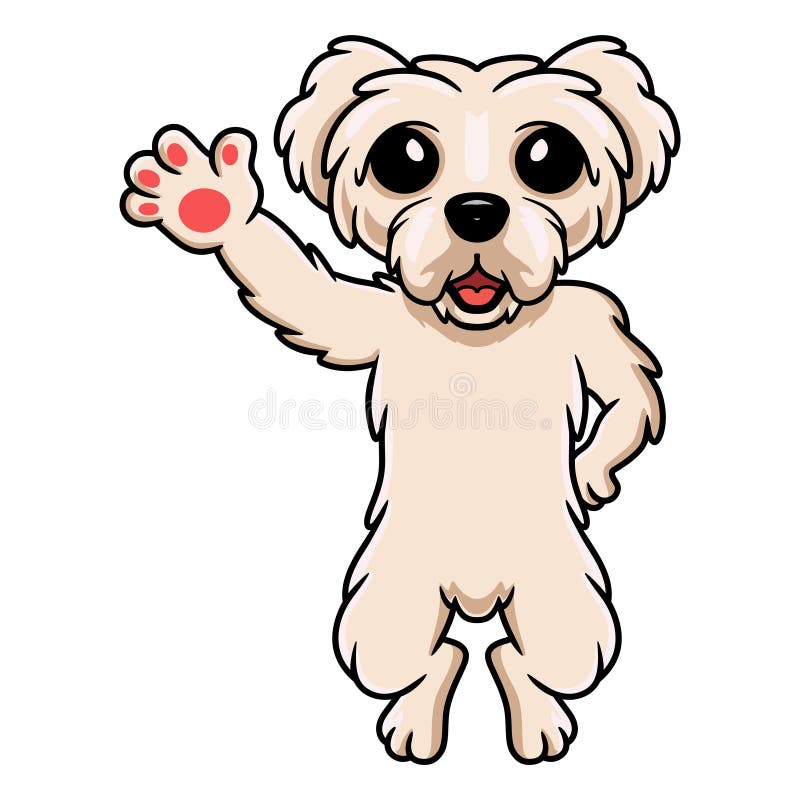 Cute Maltese Puppy Dog Cartoon Stock Vector - Illustration of cute ...
