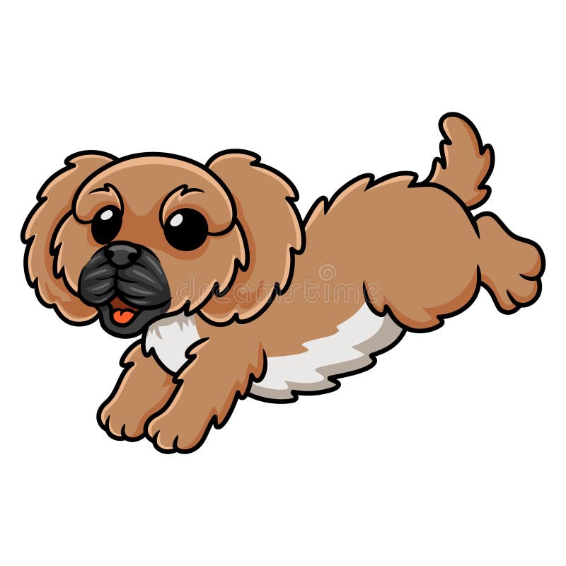 Cute Little Pekingese Dog Cartoon Stock Vector - Illustration of ...