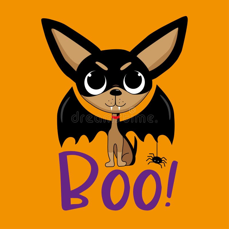 Boo - Cute Vampire Chihuahua Dog with Little Spider. Isloated on Orange ...