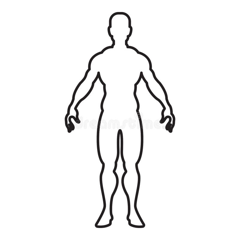 Thin line male body stock vector. Illustration of thin - 257969481