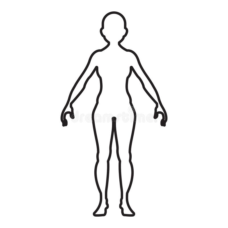 Thin line female body stock vector. Illustration of thin - 257969487