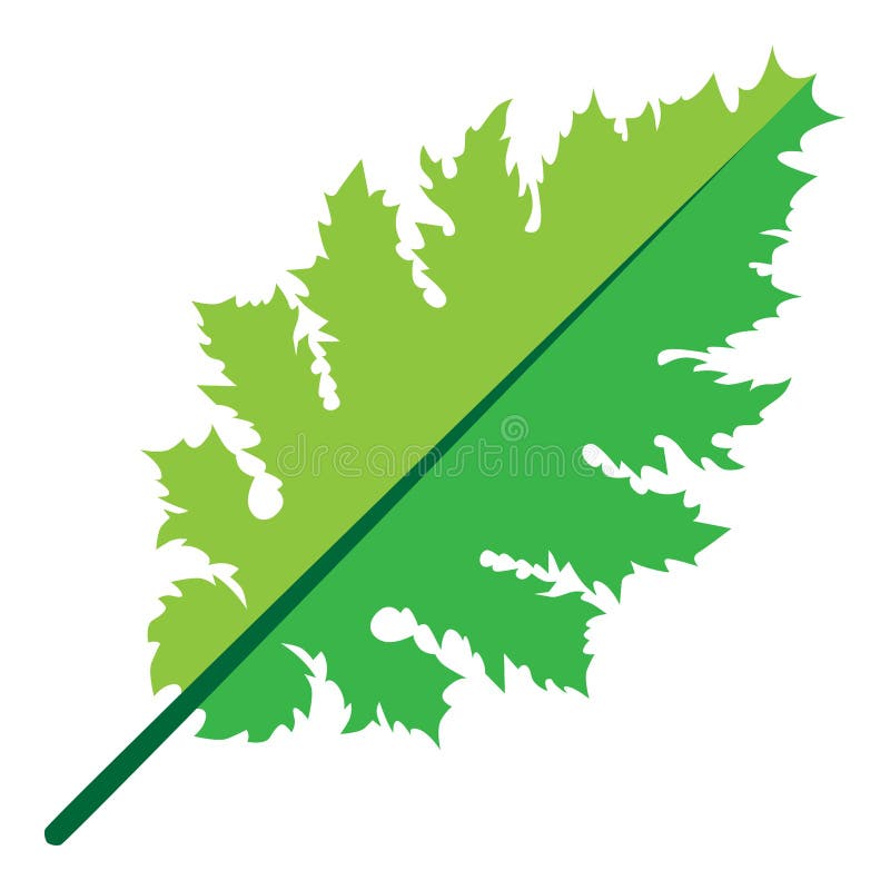 Cartoon leaf stock vector. Illustration of plant, nature - 258124507