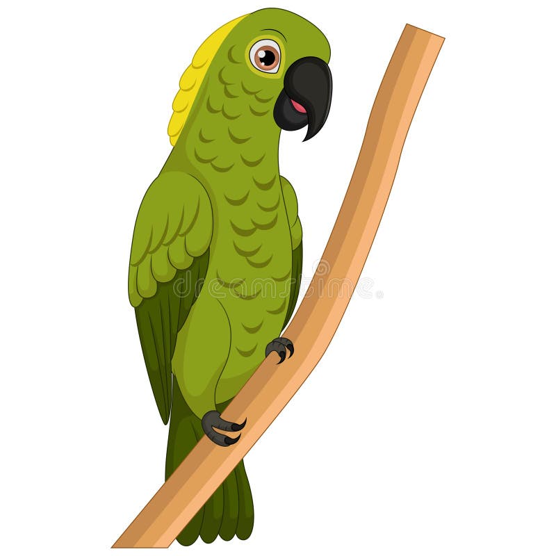 Cute Macaw Parrot Cartoon on Tree Branch Stock Vector - Illustration of ...