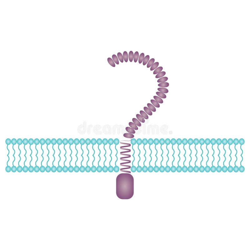 Toll-like Receptor Science Vector Illustration Background Graphic Stock ...