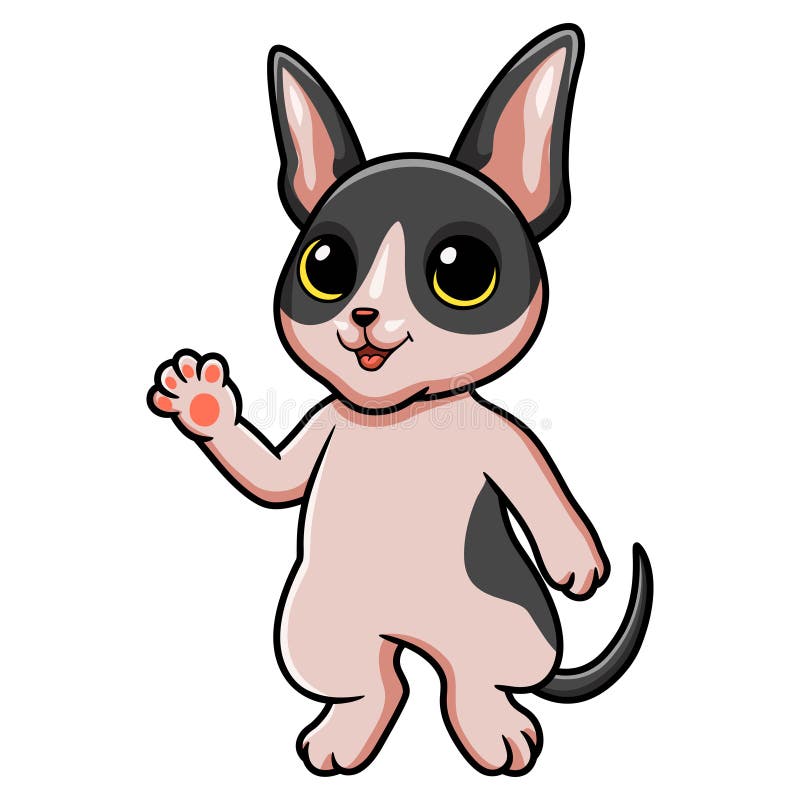 Cute Cat Cornish Rex Cartoon Waving Hand Stock Vector - Illustration of ...