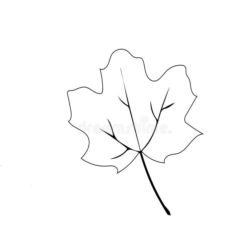 Autumn Leaves Icons Outline. Autumn Leaves Isolated on White Background ...