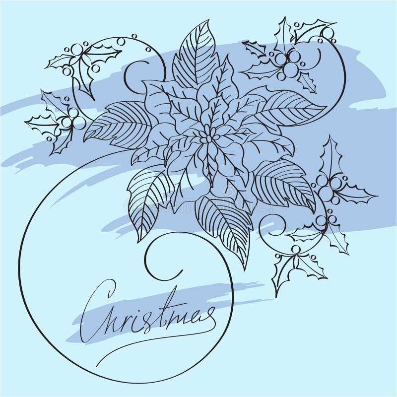 Line Art Poinsettia. Vector Illustration. Hand Drawn Poinsettia Flower ...