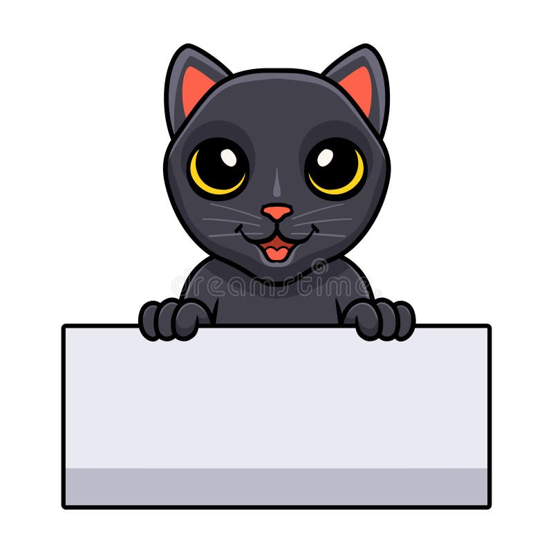 Cute Bombay Cat Cartoon Holding Blank Sign Stock Vector - Illustration ...