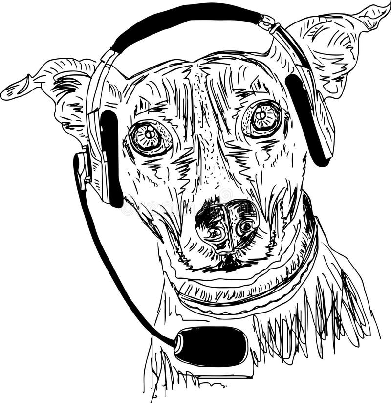 Pet Dog Wearing Headphones while Listening To Music, Dog in Headphone ...