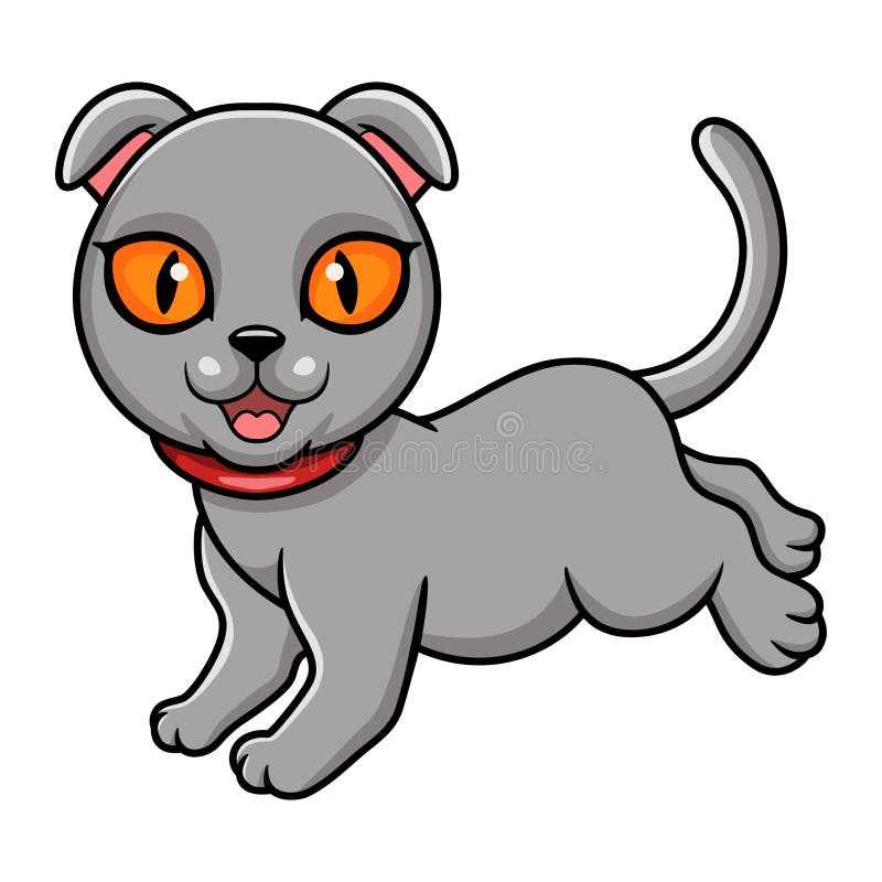 Cute Scottish Fold Cat Cartoon Stock Vector - Illustration of grey ...