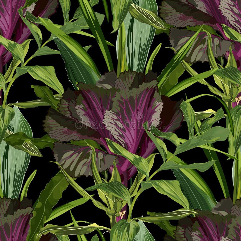 Seamless Pattern with Hand Drawn Colored Decorative Cabbage and ...