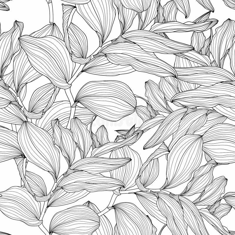 Foliage Seamless Pattern, Plant, Leucadendron Branch Leaves Line Art ...