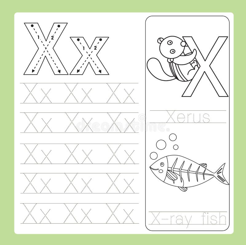 Illustration of X Exercise a-Z Cartoon Vocabulary Animal Stock Vector ...