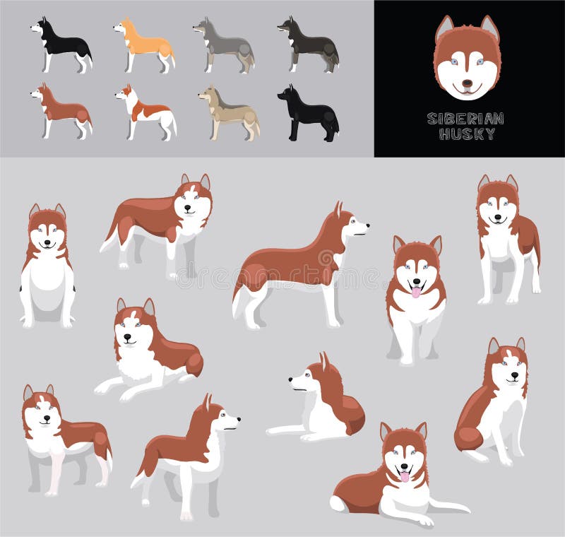 Dog Siberian Husky Red Coat Cartoon Vector Illustration Color Variation ...
