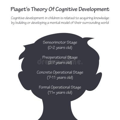 Piaget S Theory of Cognitive Development Vector Infographic Stock ...
