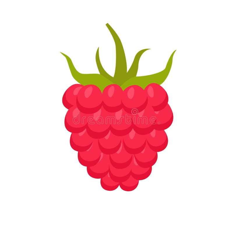 Cartoon raspberry outline stock vector. Illustration of berry - 91642055