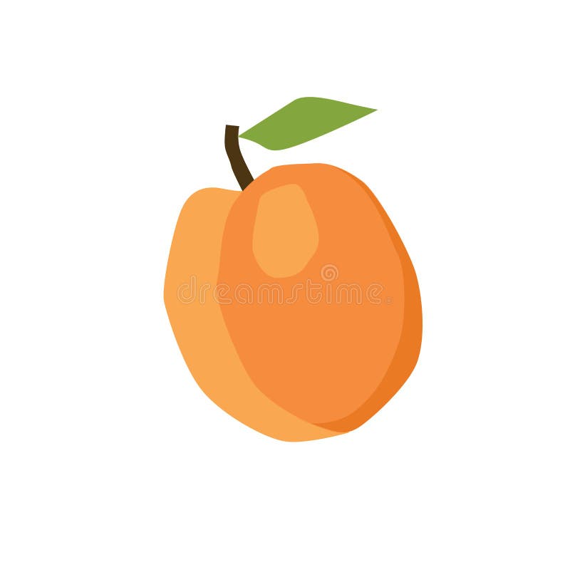 Print. Vector Apricot. Fruit. Agriculture. Farming. Garden Fruit. Fresh ...