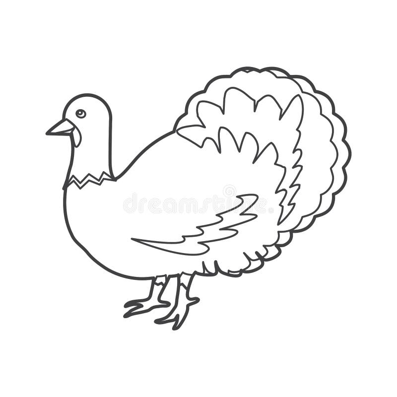 Thin line turkey stock vector. Illustration of turkey - 262017743