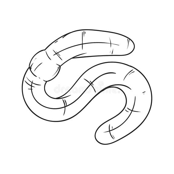 Hand draw earthworm stock vector. Illustration of design - 262282488