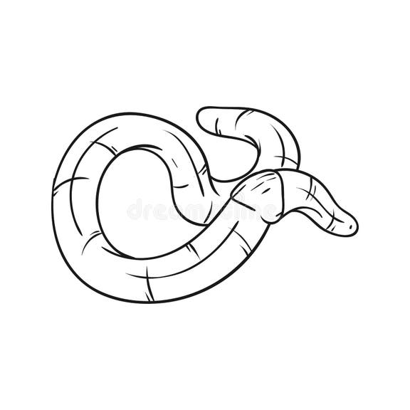 Hand draw earthworm stock vector. Illustration of icon - 262282514