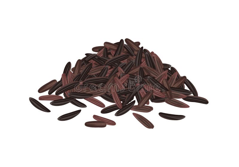 Dark Wild Rice Heap Isolated on White. Vector Cartoon Illustration of ...