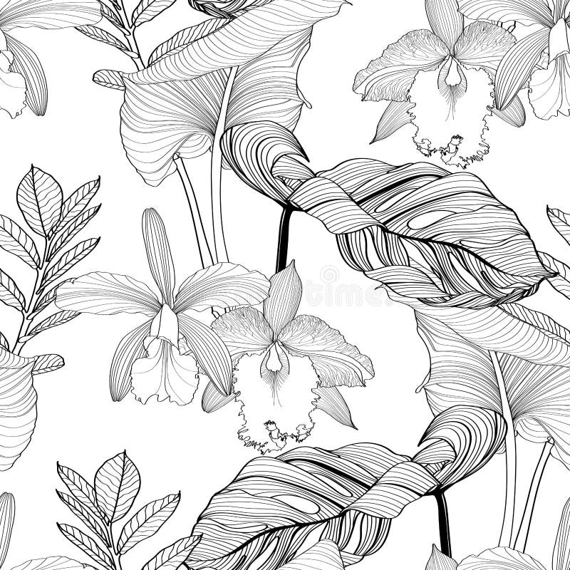 Tropical Exotic Floral Line Palm Leaves and Orchid Flowers Seamless ...