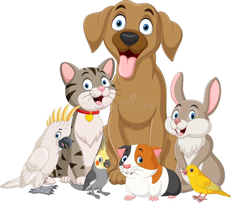 Cute Cartoon Pets Collection Set Stock Vector - Illustration of exotic ...