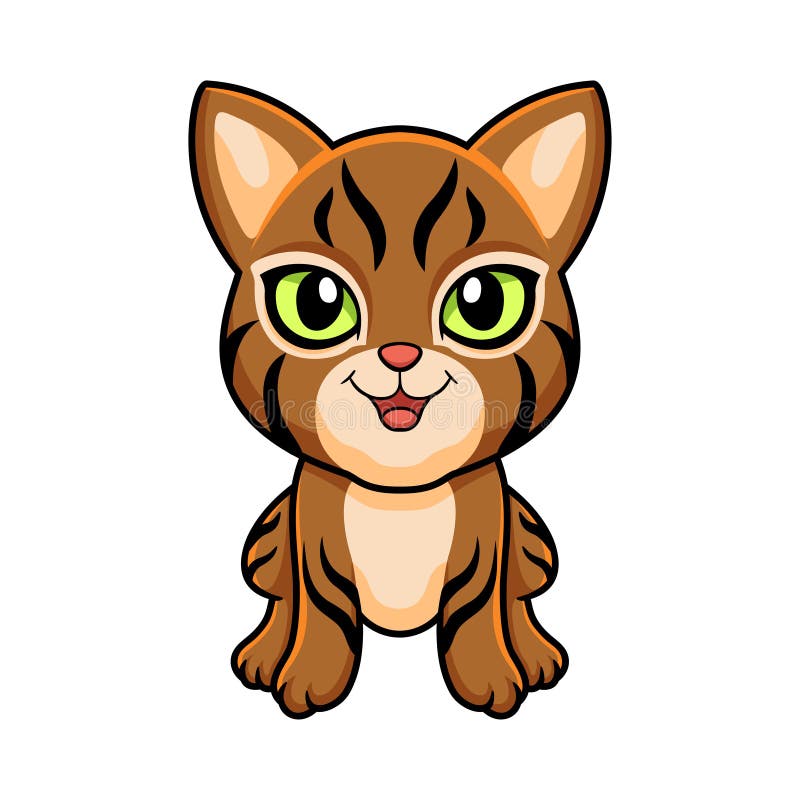 Pixie Bob Cat Stock Illustrations – 82 Pixie Bob Cat Stock ...