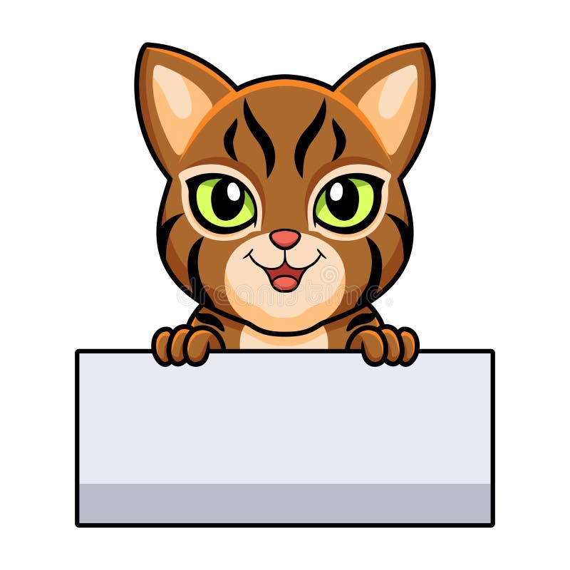 Cute Pixie Bob Cat Cartoon Holding Blank Sign Stock Vector ...