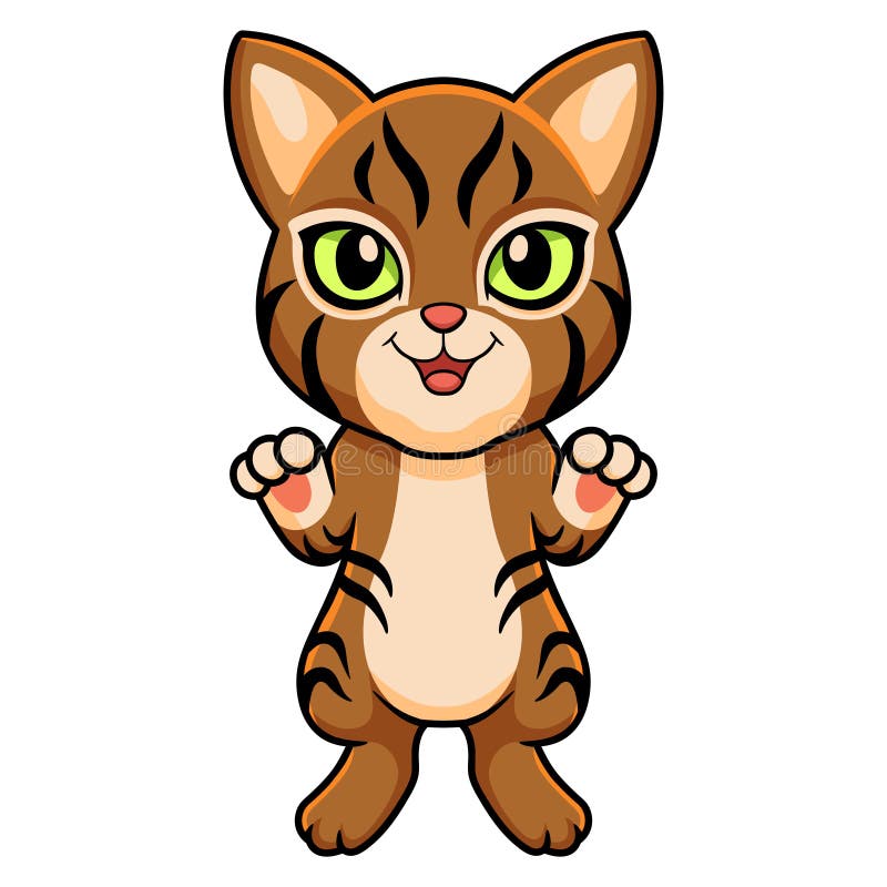 Cute pixie bob cat cartoon stock vector. Illustration of kawaii - 263473598