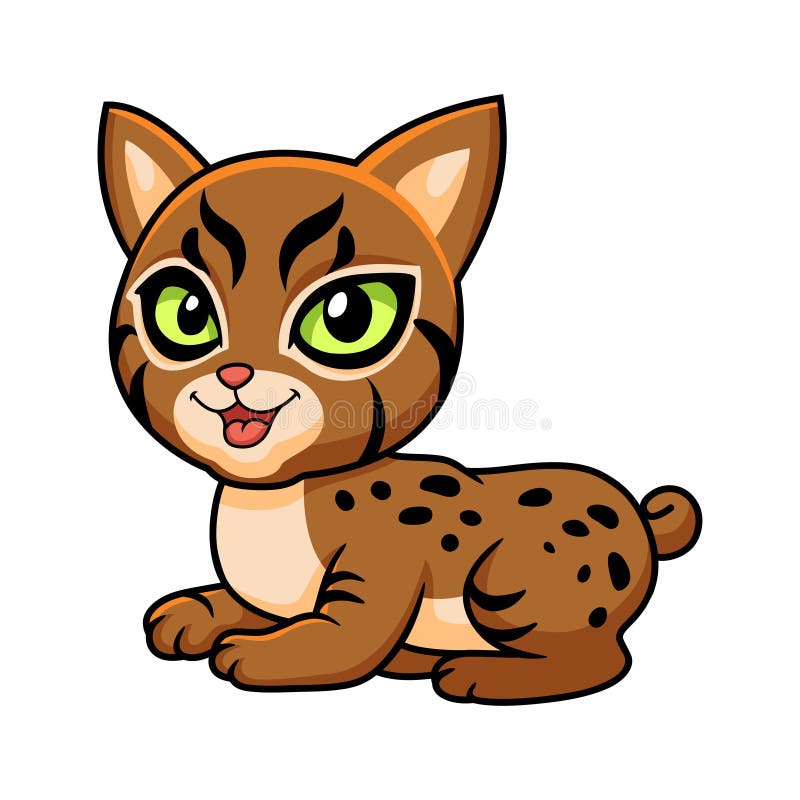 Cute pixie bob cat cartoon stock vector. Illustration of funny - 263473639