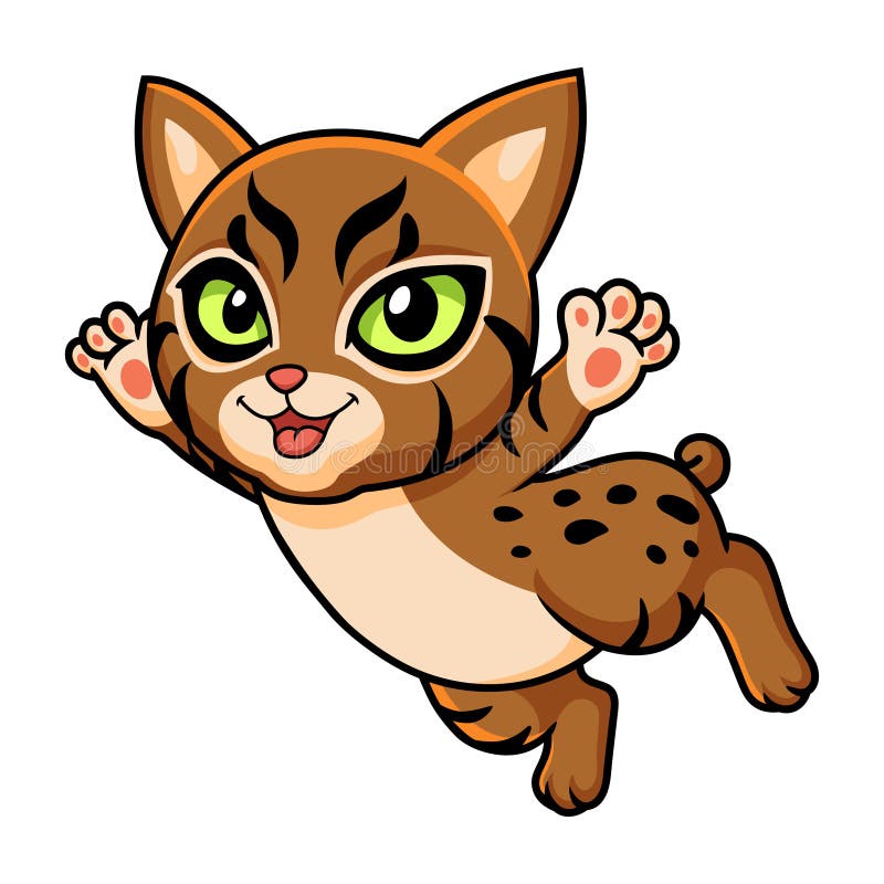 Cute Pixie Bob Cat Cartoon Flying Stock Vector - Illustration of cute ...