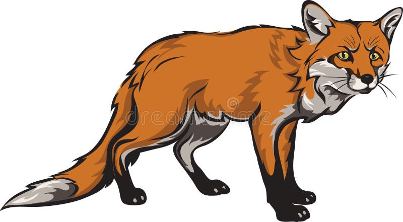 Fox, Color. Vector Image of a Fox, Outline, Isolated, Set Stock Vector ...