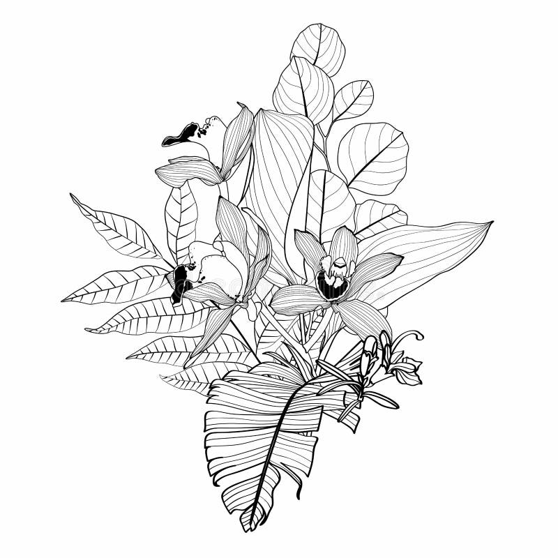 Vintage Floral Composition Set with Line Exotic Plant and Leaves on ...