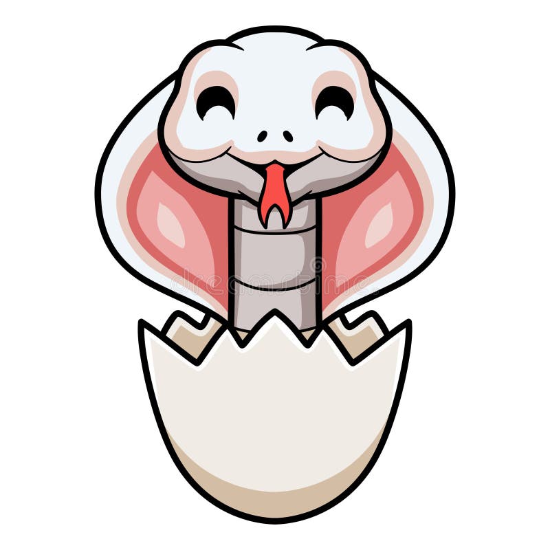 Cute Leucistic Cobra Snake Cartoon Inside an Egg Stock Vector ...