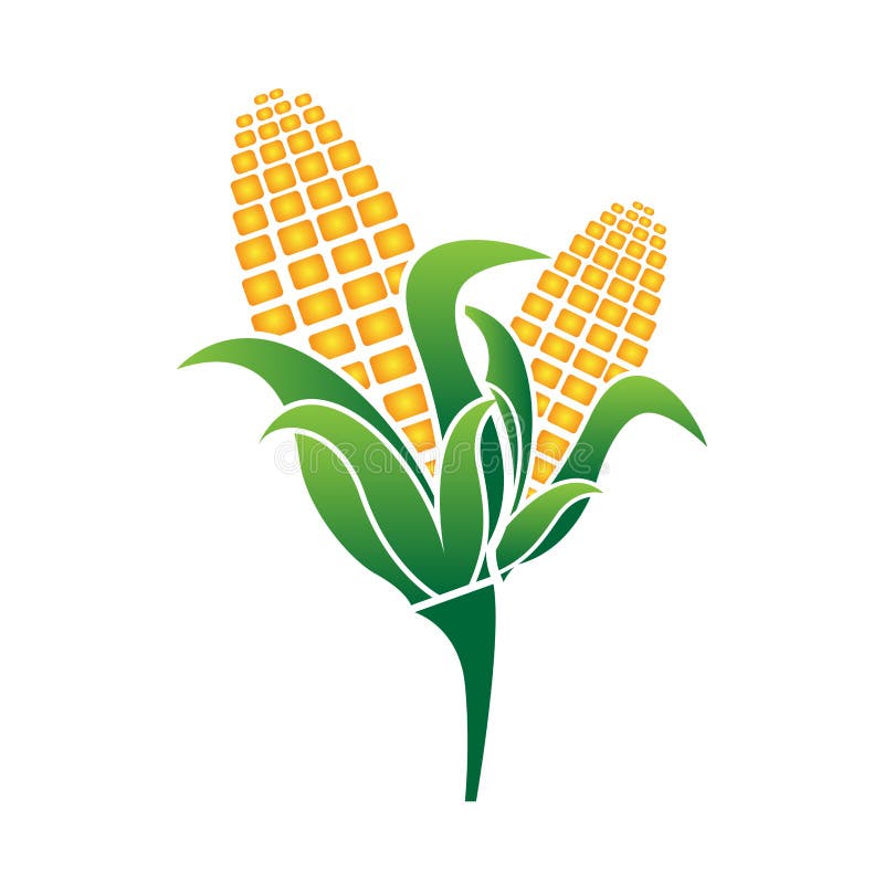 Vector Illustration of Creative Corn Design. Corn Food Flat Icon. Eps2 ...