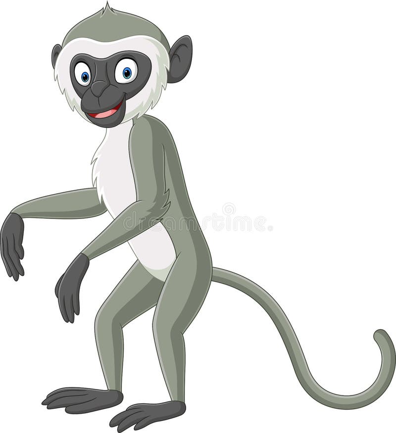 Cute Grey Langur Monkey Cartoon Stock Vector - Illustration of drawing ...