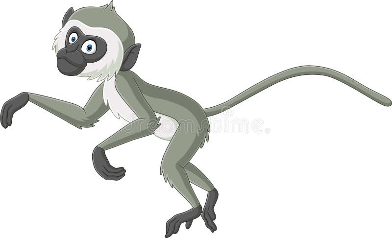 Cute Grey Langur Monkey Cartoon Stock Vector - Illustration of macaque ...