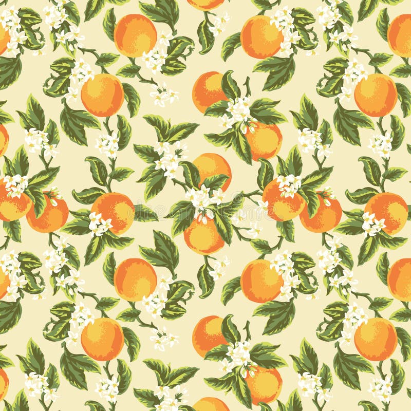 Tangerine Floral Pattern, Vector Seamless Fruit Background, Citrus ...