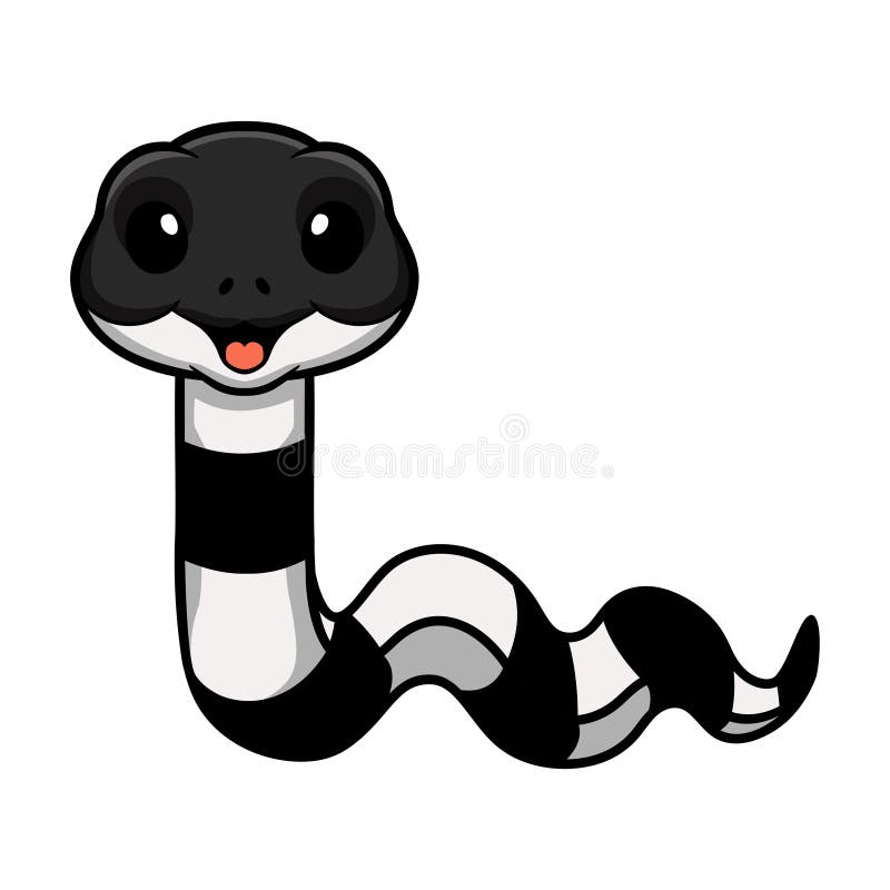Krait Snake Stock Illustrations – 128 Krait Snake Stock Illustrations ...