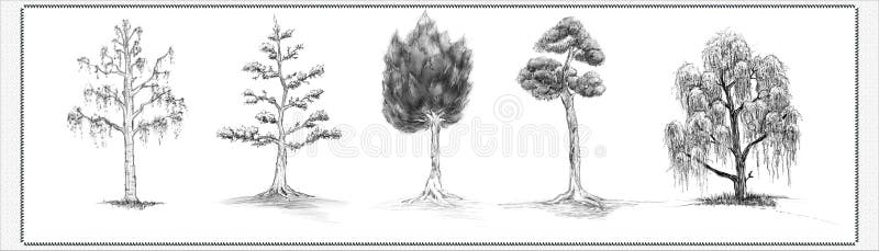 Sketching Trees in Many Basic Shapes Stock Vector - Illustration of ...