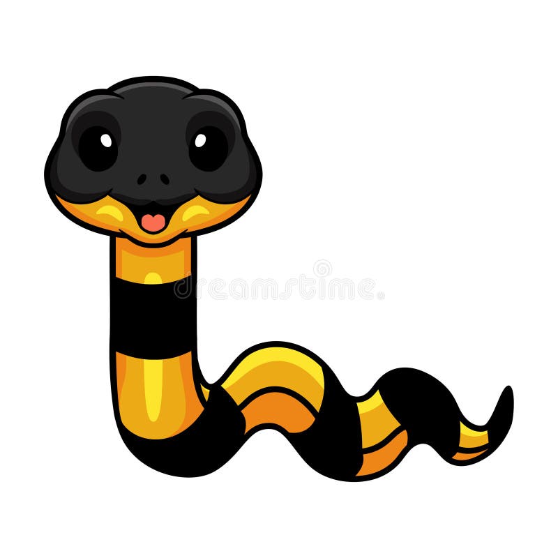 Cute Banded Krait Bungarus Candidus Cartoon Stock Vector - Illustration ...