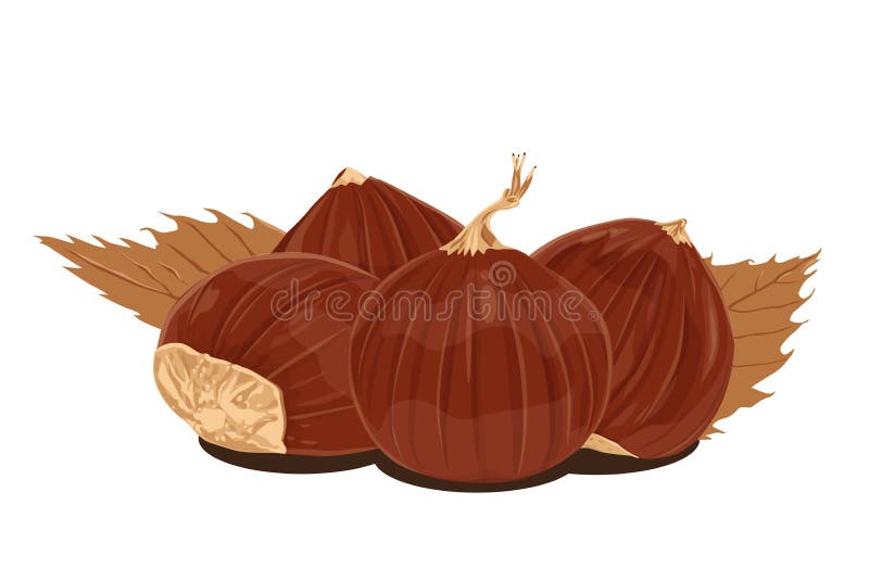 Chestnut Cartoon Stock Illustrations – 3,827 Chestnut Cartoon Stock ...