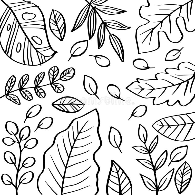 Beautiful Green Leaf Background Vector Illustration Stock Illustration ...