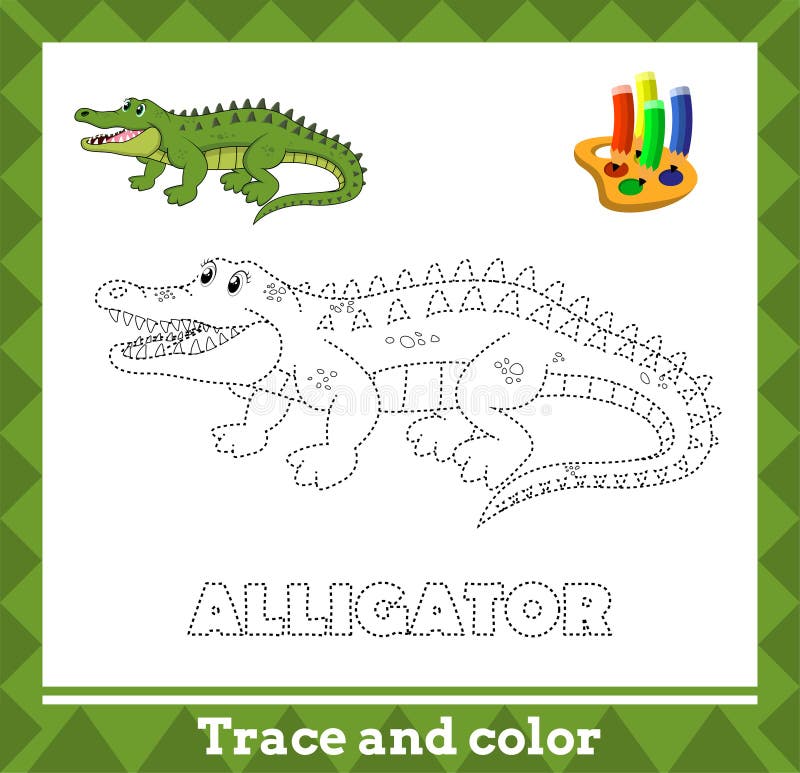 Trace and Color for Kids, Hen Vector Kids Activity Page Stock Vector ...