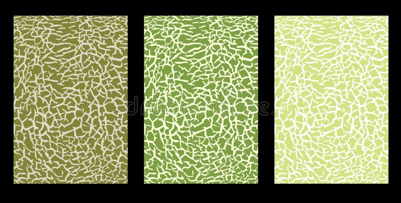Japanese Melon Texture for Pattern, Vector Eps 10 Stock Vector ...