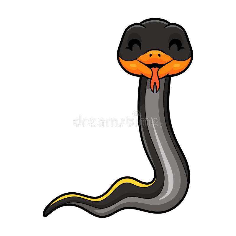 Cute Black Copper Rat Snake Cartoon Stock Vector - Illustration of ...